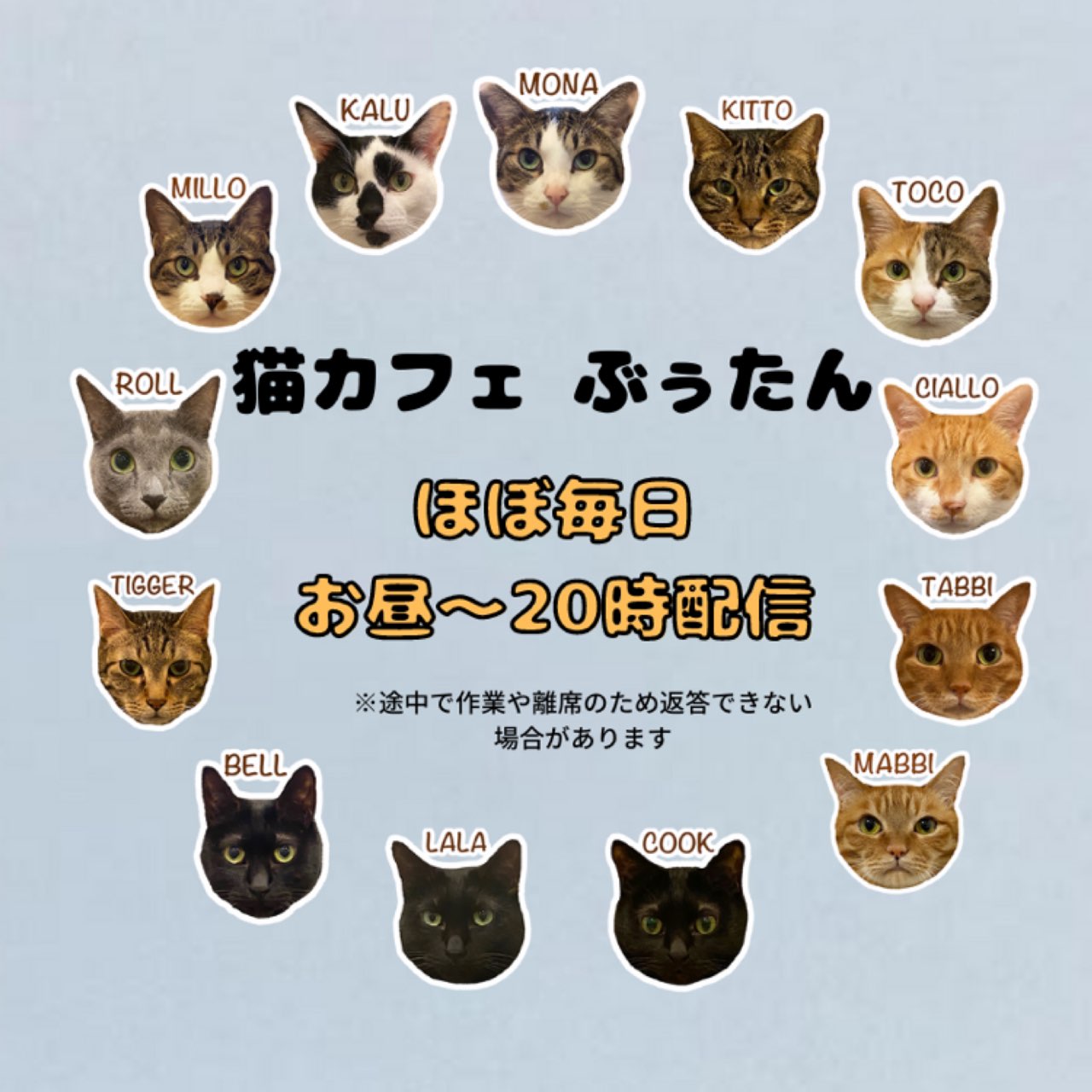 Rising Periscope, YouNow, and etc. live streams on LiveOMG.com